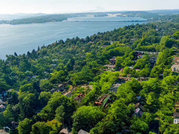 Home - Madrona Neighborhood Association