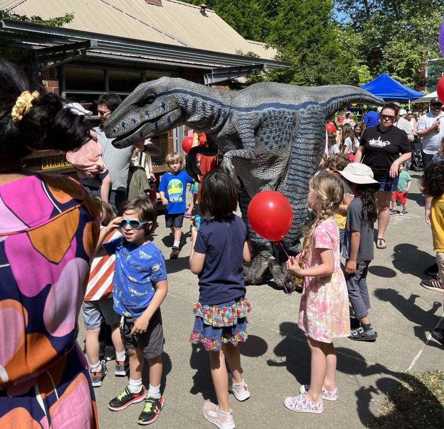 Home - Madrona Neighborhood Association