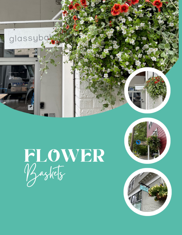 Blossoms (Flower Baskets)